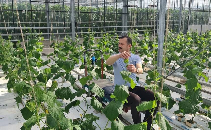 Hollanda'da sevilen iş adamı Mustafa Duyar: Seracılık sektöründe 30 ...